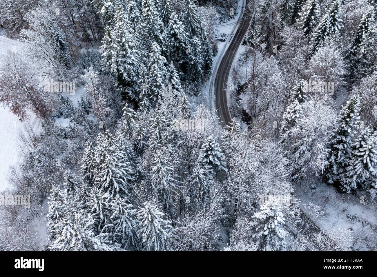 Drone view snow forest road hi-res stock photography and images - Alamy