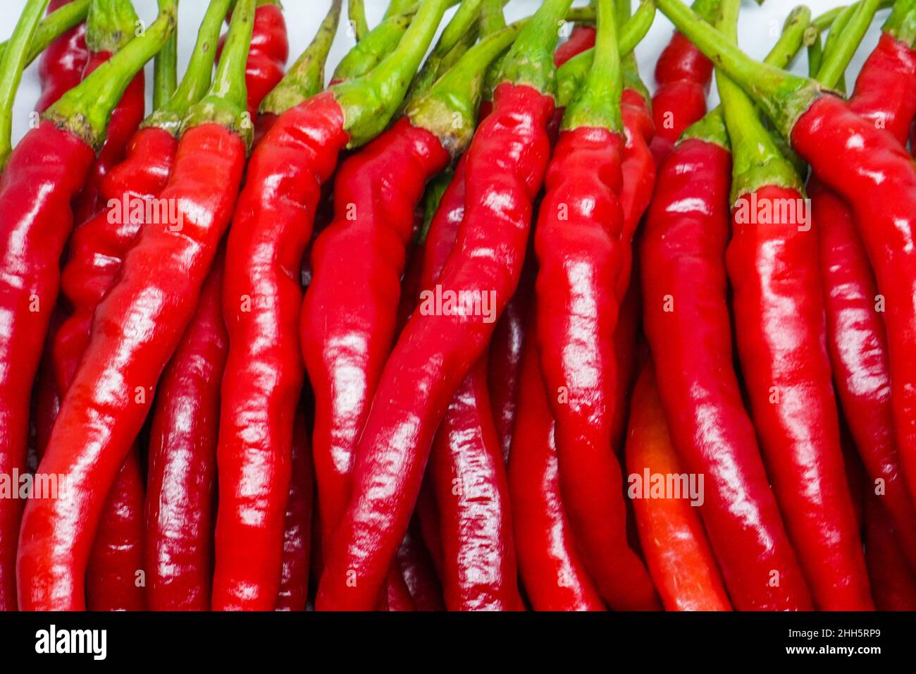 Red Chili Curly is one of the most widely grown and sold red chili ...