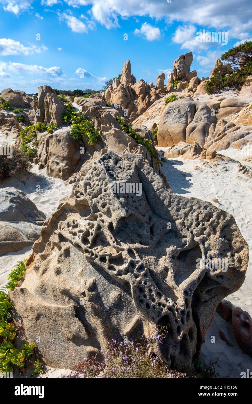 Italy, Province of South Sardinia, Villasimius, Eroded sandstone rock ...