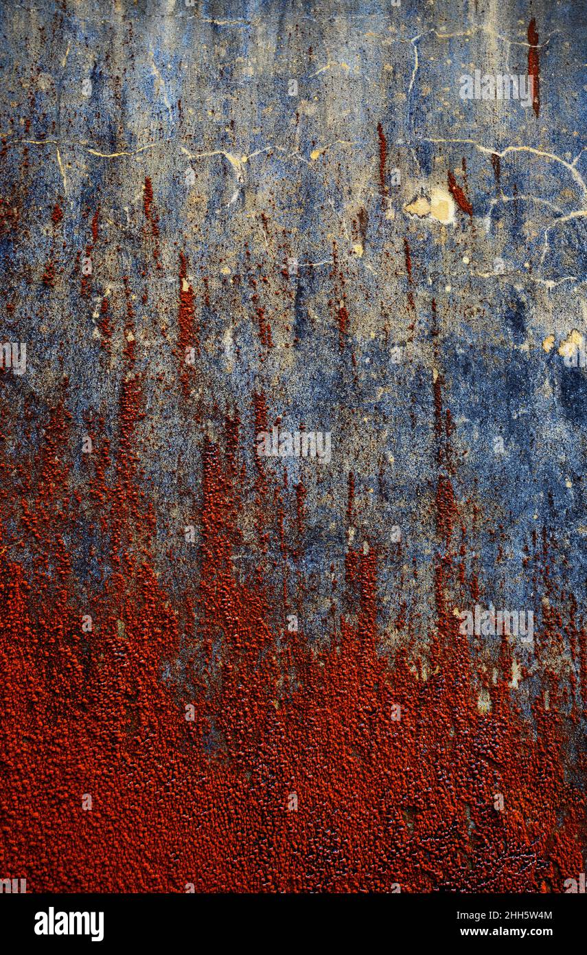 Red algae overgrowing old wall Stock Photo - Alamy