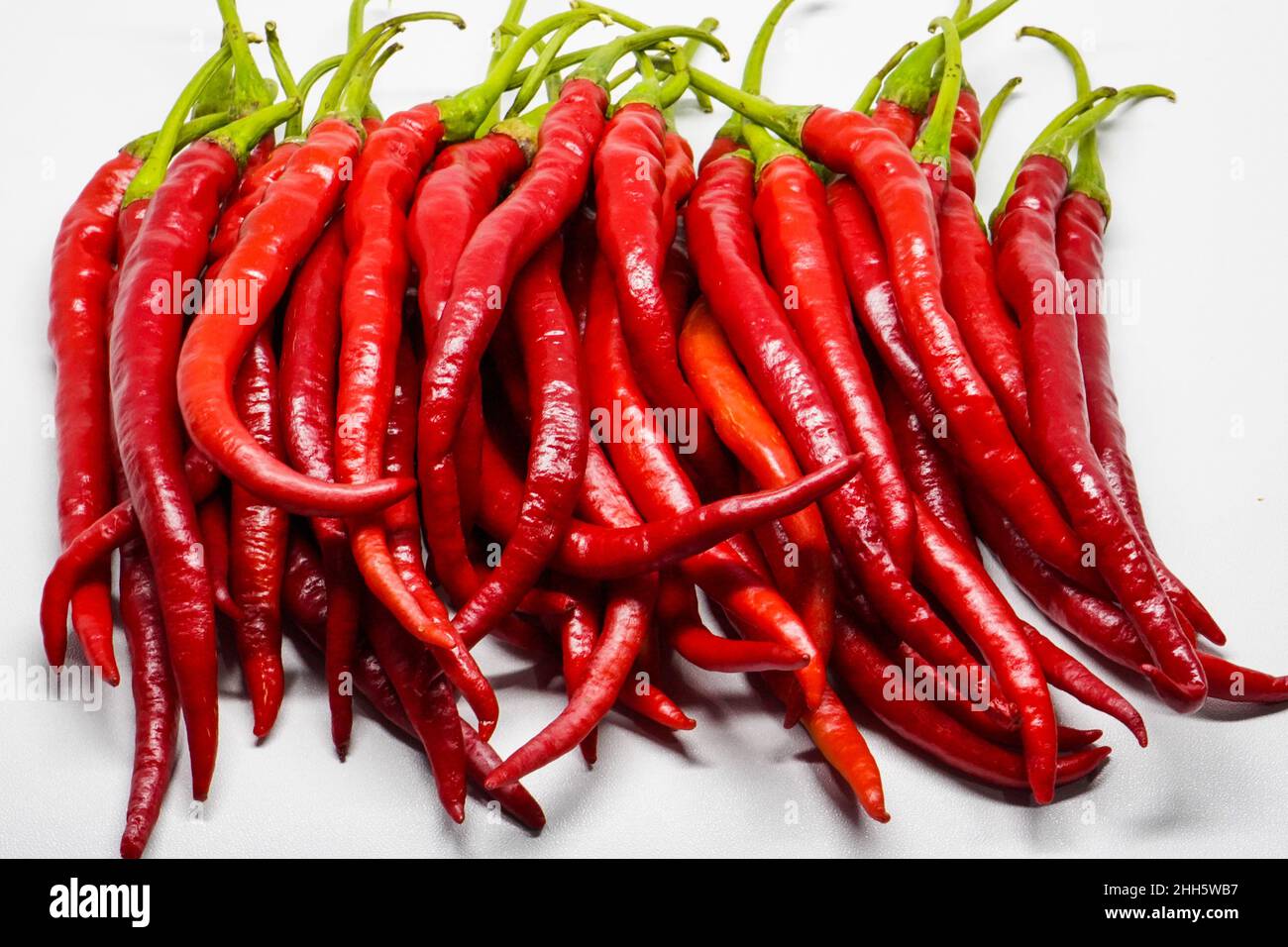 Red Chili Curly is one of the most widely grown and sold red chili ...