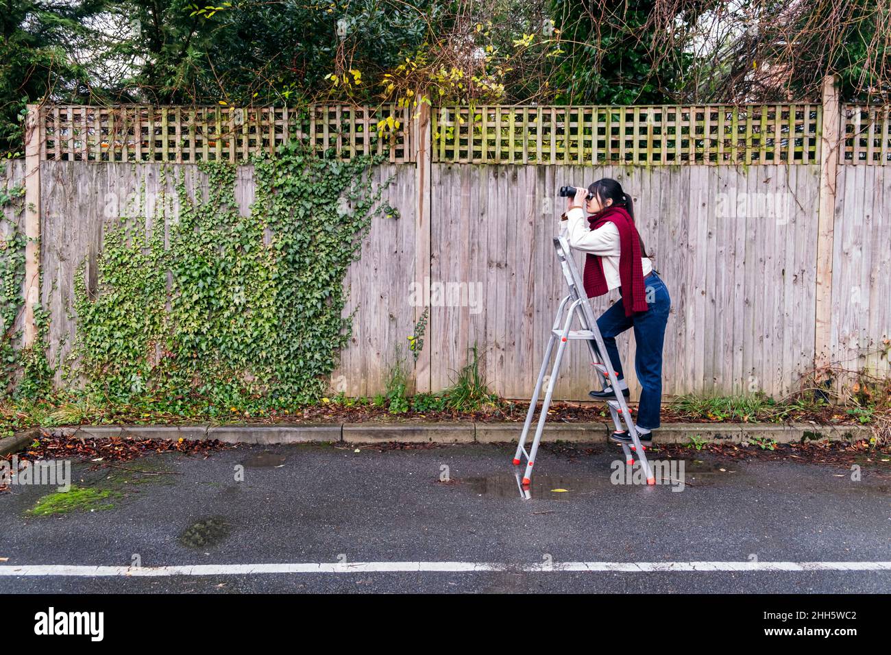 Asian ladder hi-res stock photography and images - Alamy