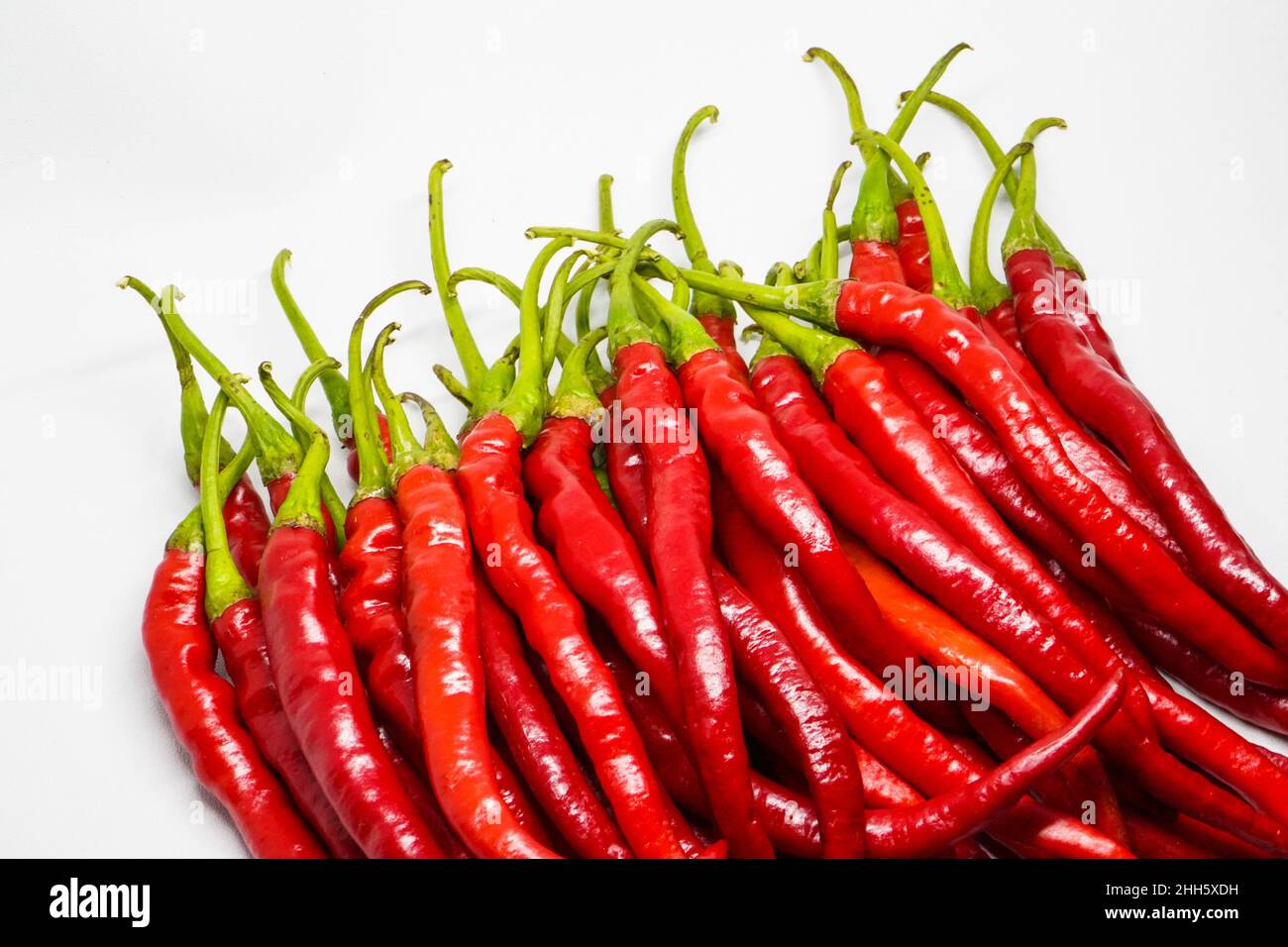 Red Chili Curly is one of the most widely grown and sold red chili ...