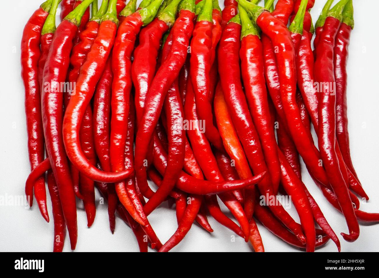Red Chili Curly is one of the most widely grown and sold red chili ...
