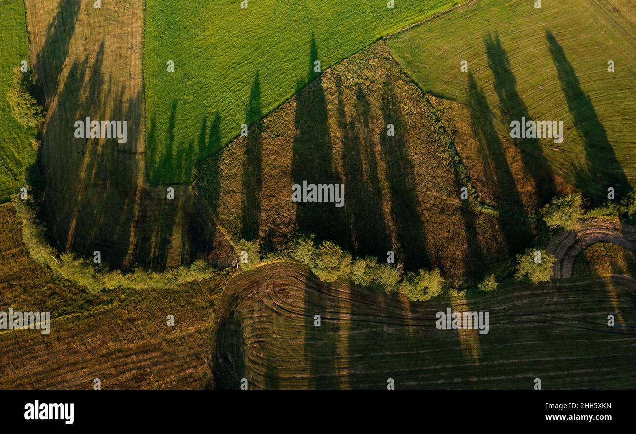 Shadow cast by trees hi-res stock photography and images - Alamy