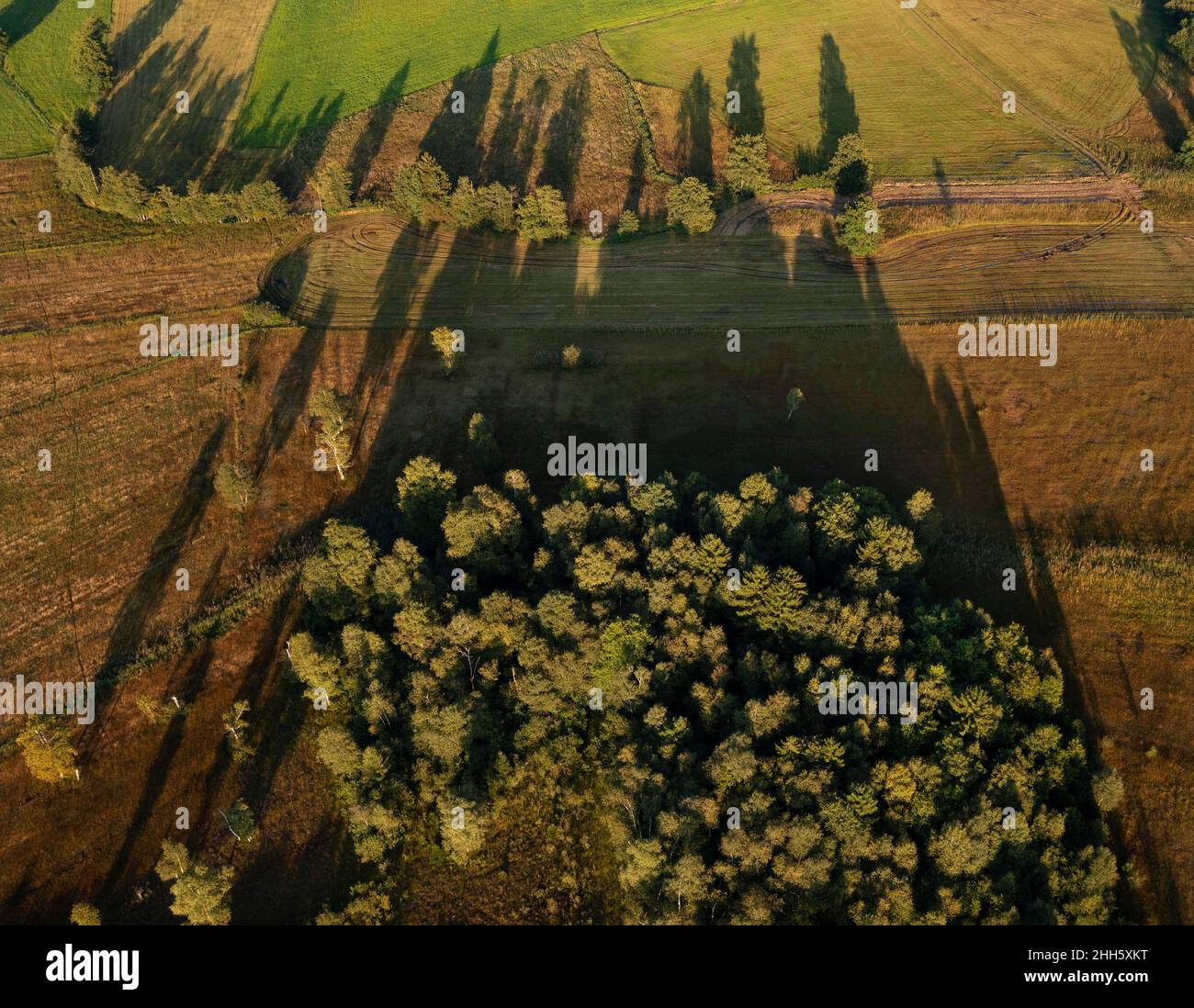 Small grove hi-res stock photography and images - Alamy