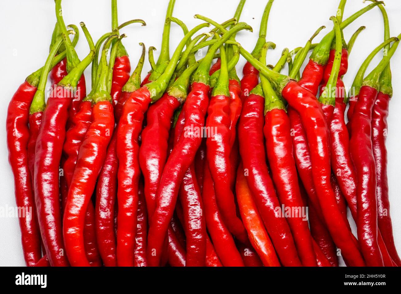 Red Chili Curly is one of the most widely grown and sold red chili ...