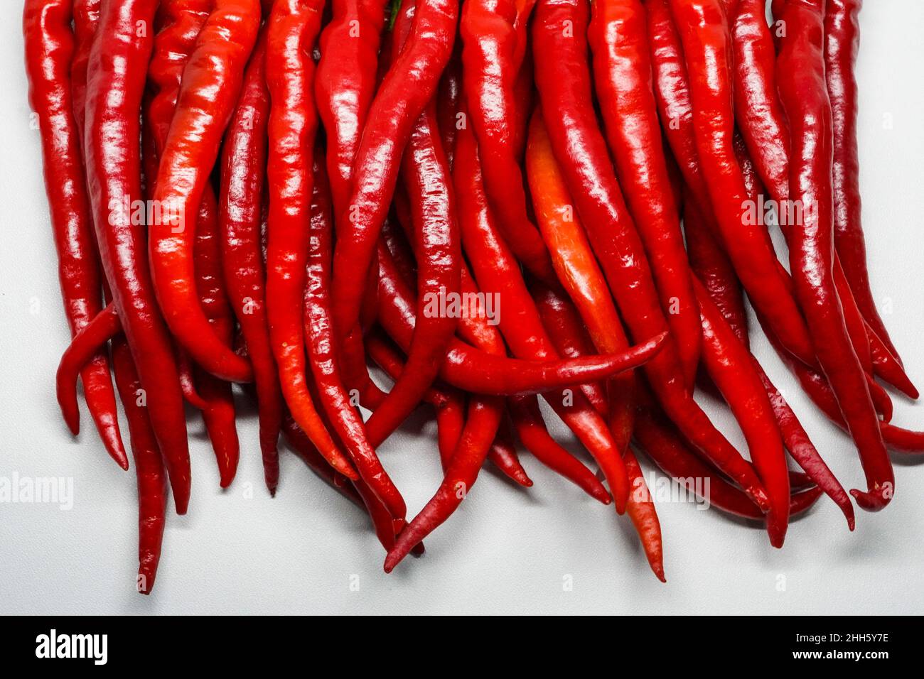 Red Chili Curly is one of the most widely grown and sold red chili ...