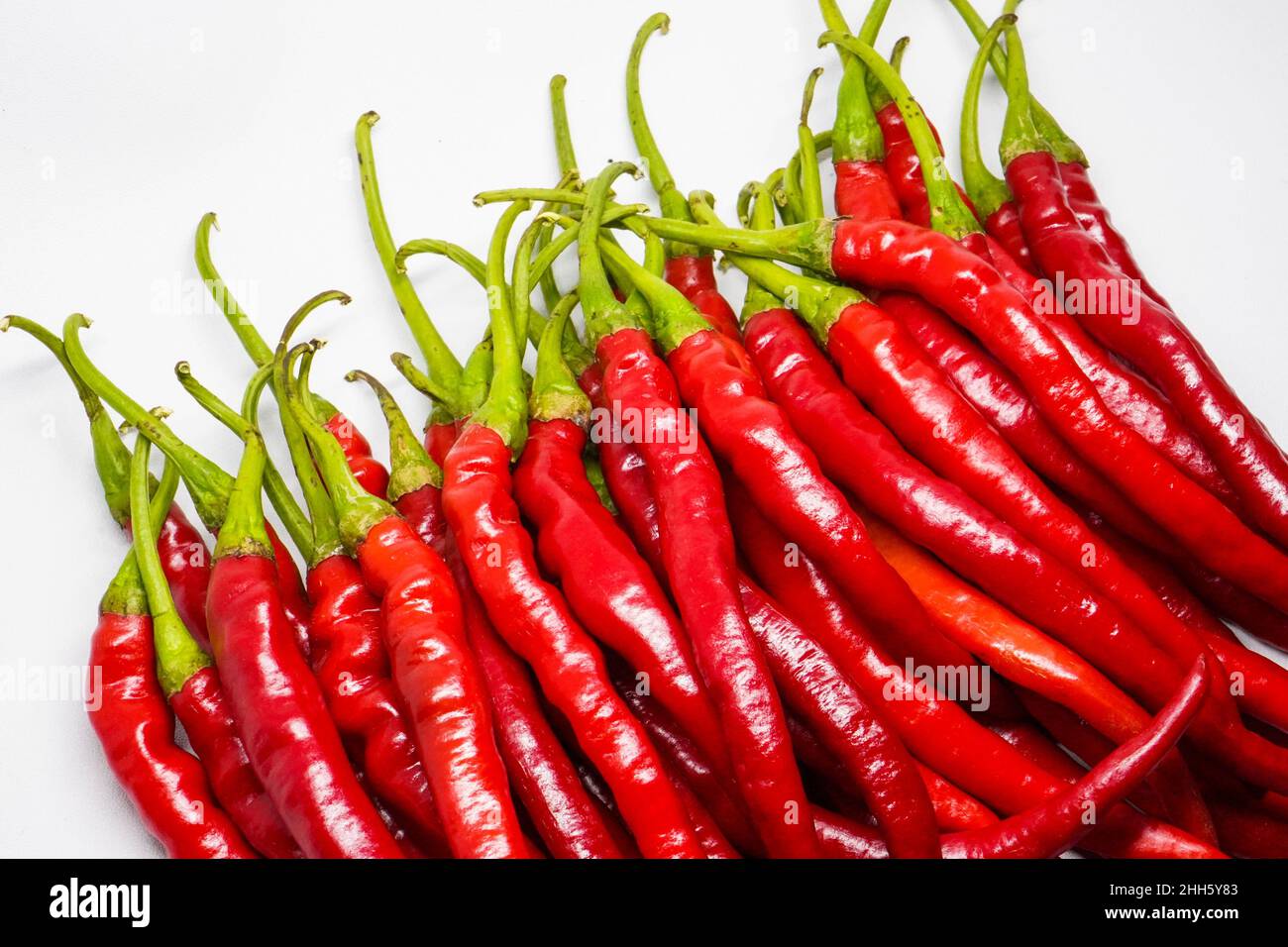 Red Chili Curly is one of the most widely grown and sold red chili ...