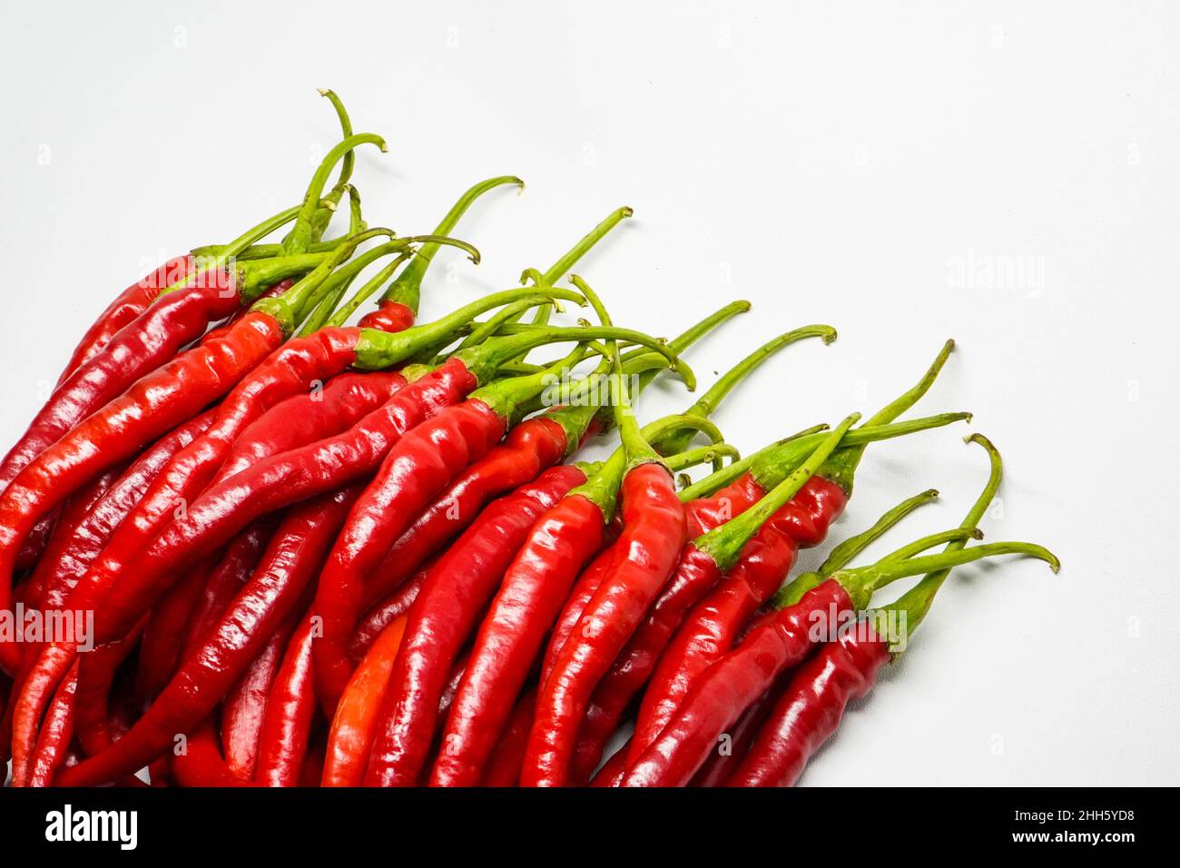 Red Chili Curly is one of the most widely grown and sold red chili ...