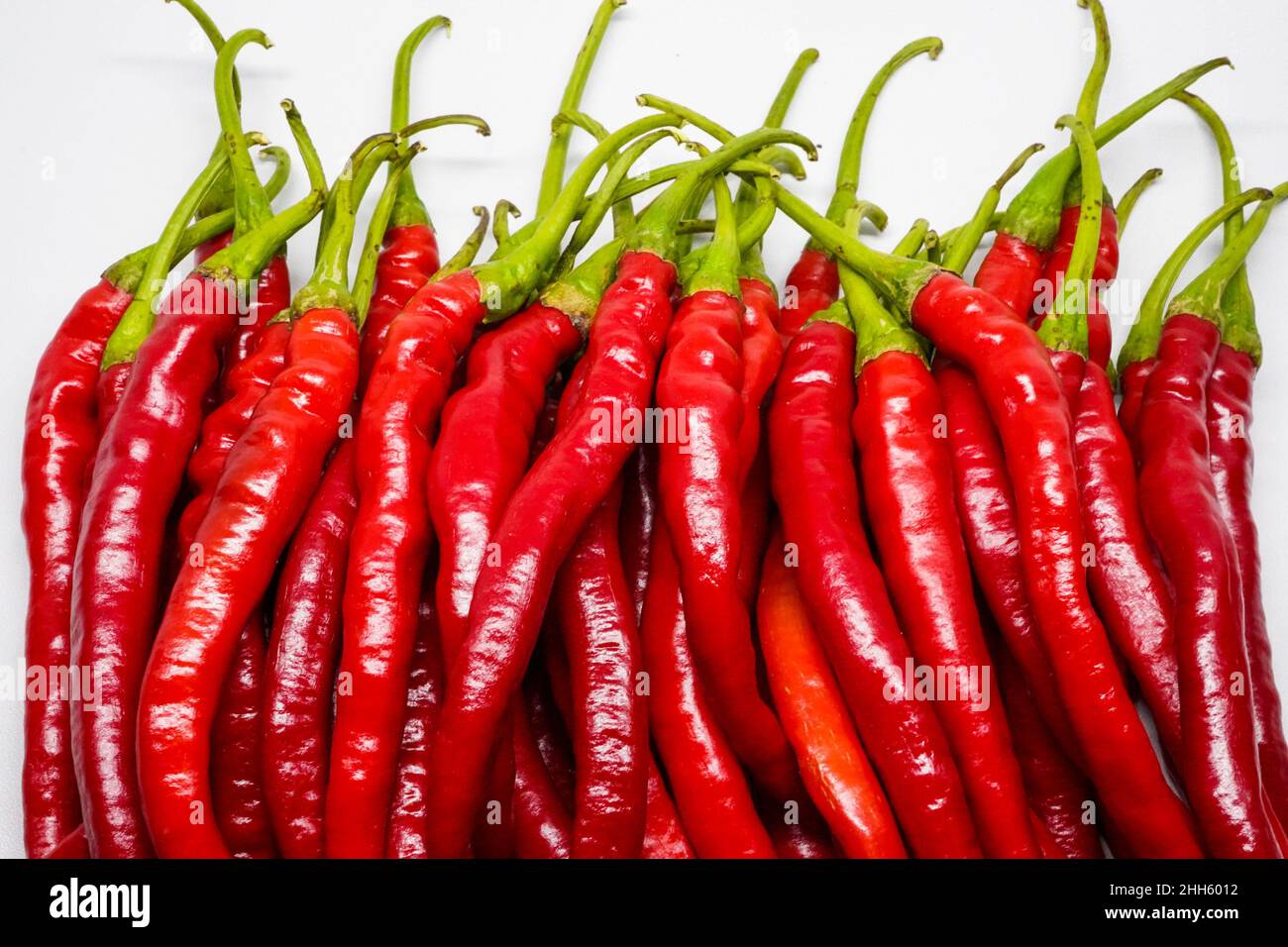 Red Chili Curly is one of the most widely grown and sold red chili ...