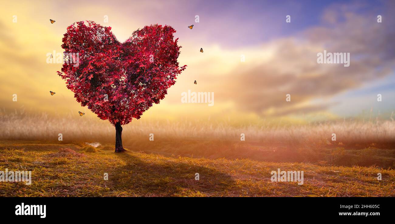 Love for nature hi-res stock photography and images - Alamy