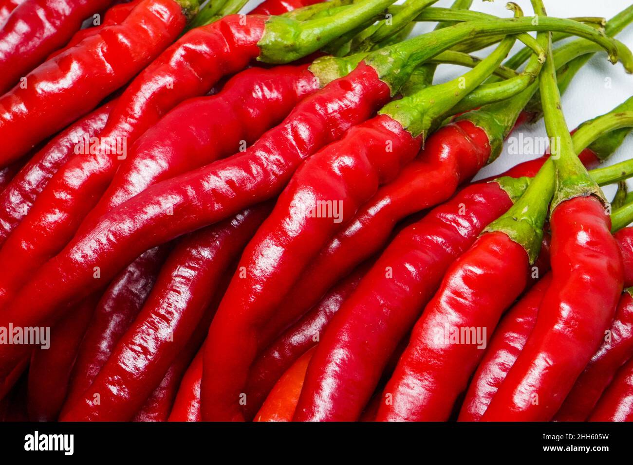 Red Chili Curly is one of the most widely grown and sold red chili ...