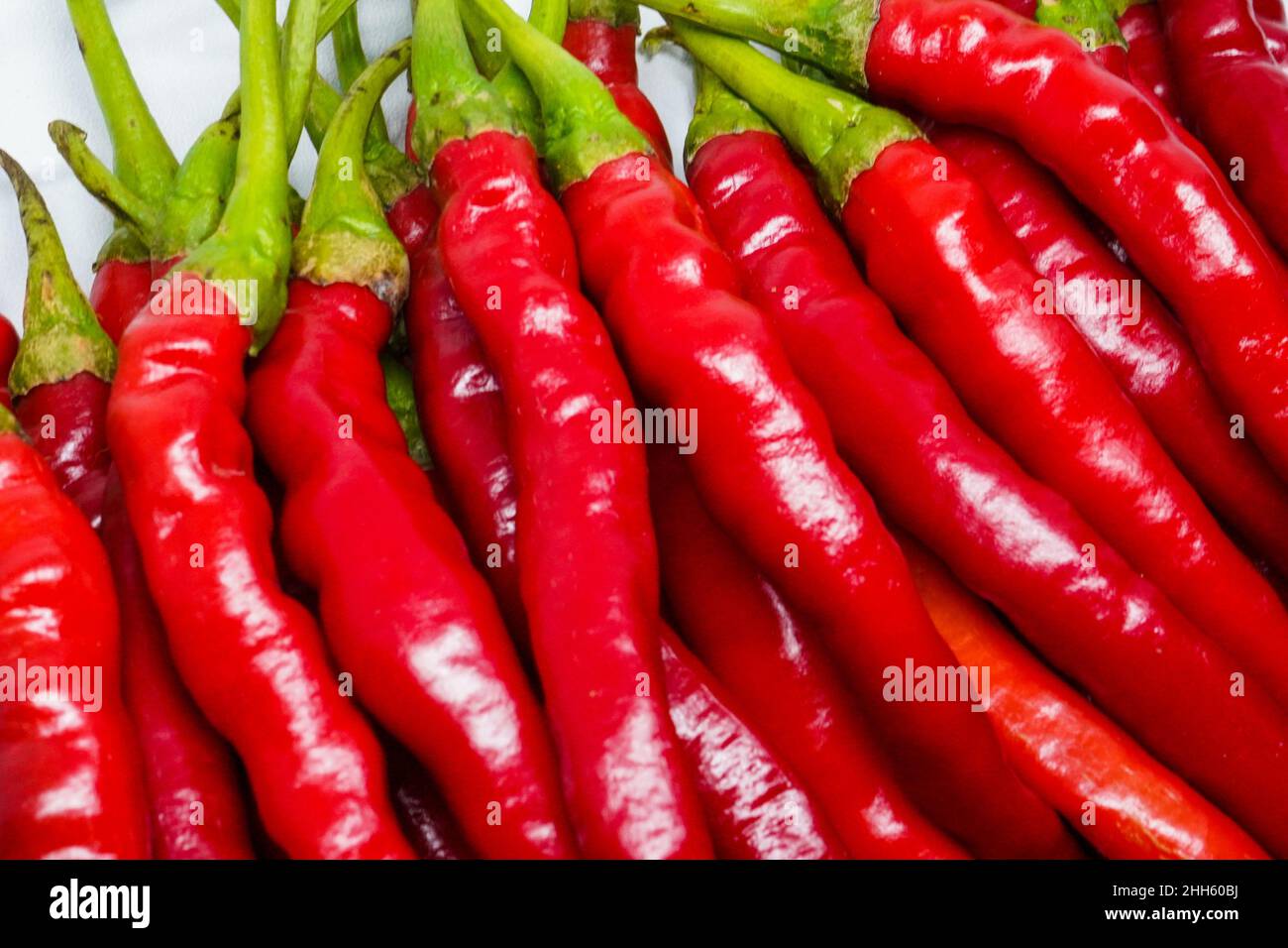 Red Chili Curly is one of the most widely grown and sold red chili ...