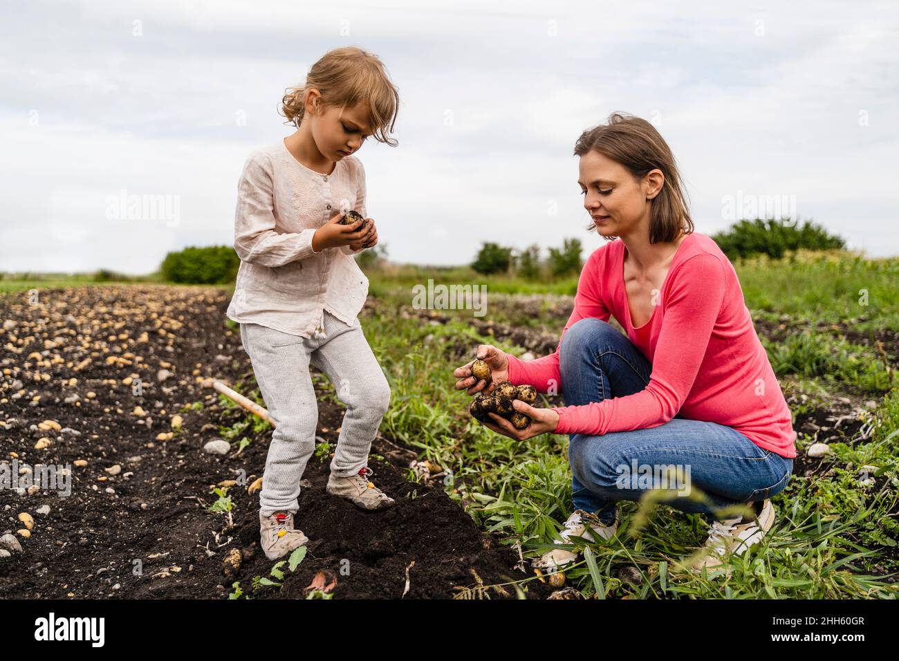 Mother and daughter harvesting potatoes together in farm Stock Photo ...