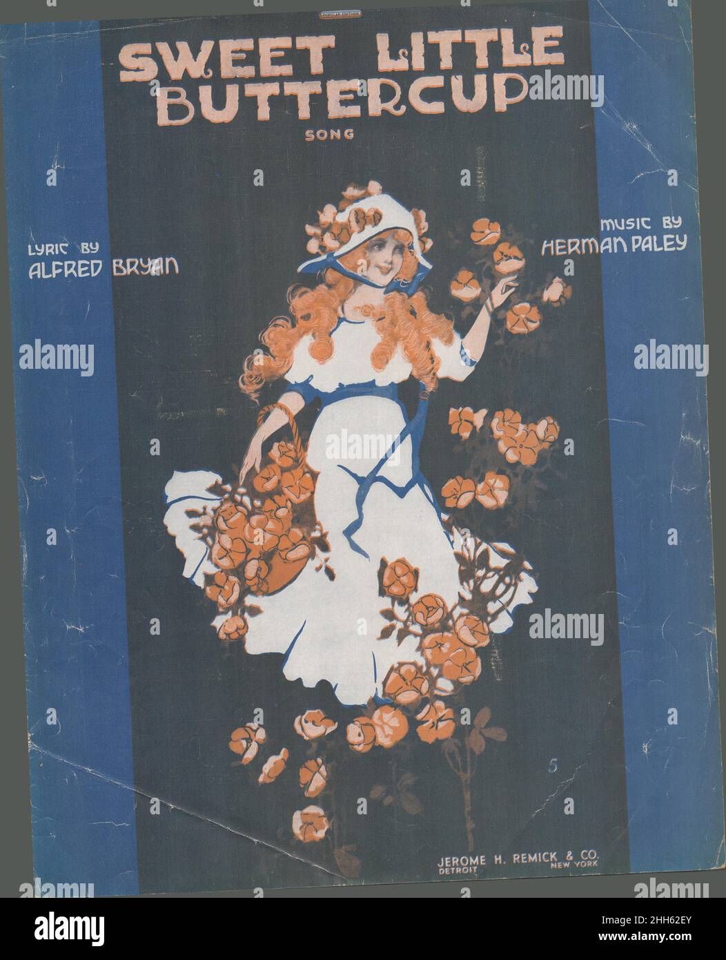 Sweet Little Buttercup Stock Photo - Alamy