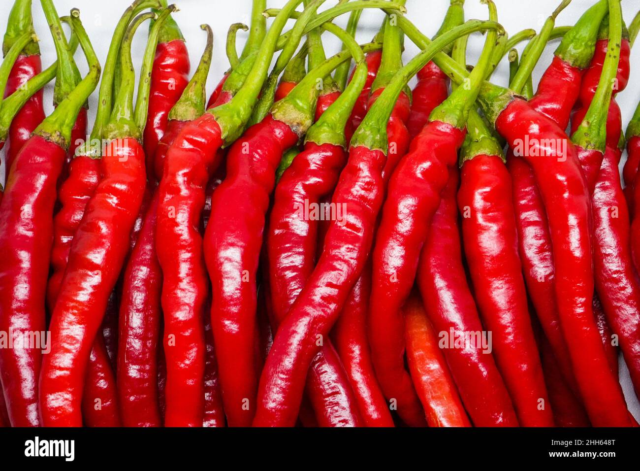 Red Chili Curly is one of the most widely grown and sold red chili ...