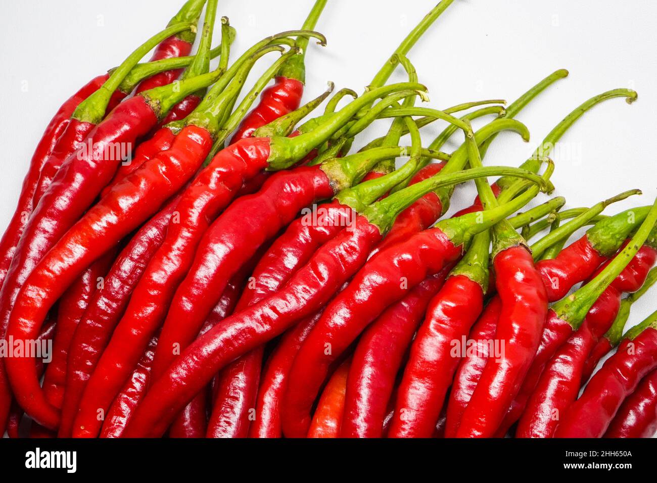 Red Chili Curly is one of the most widely grown and sold red chili ...