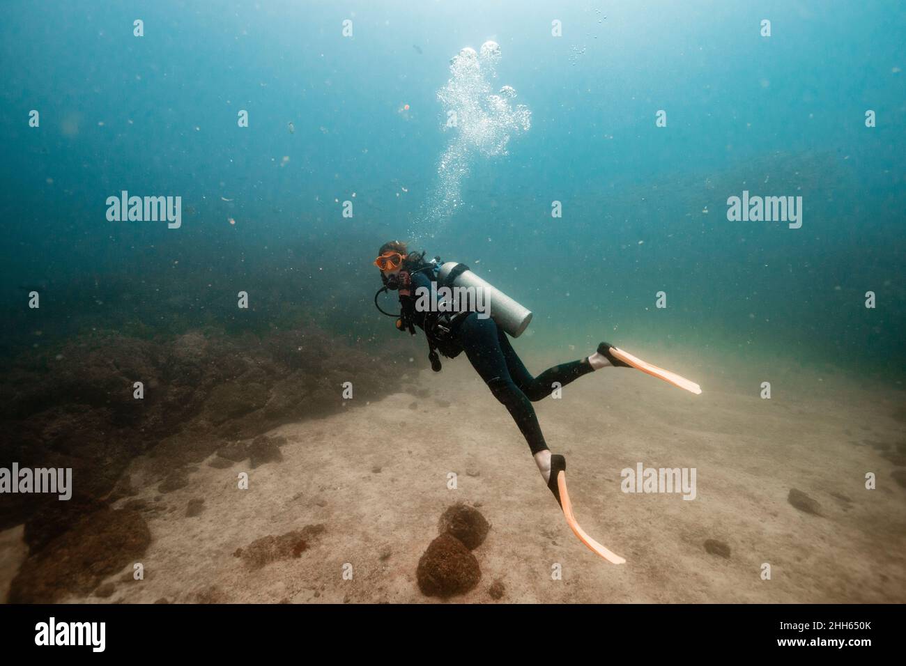 Scuba diver swimming underwater at Del Coco beach Stock Photo - Alamy