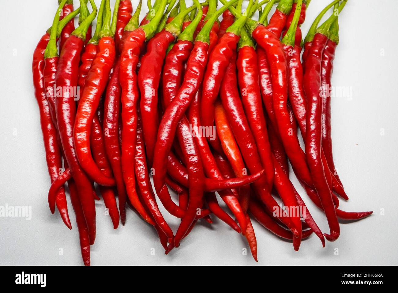 Red Chili Curly is one of the most widely grown and sold red chili ...