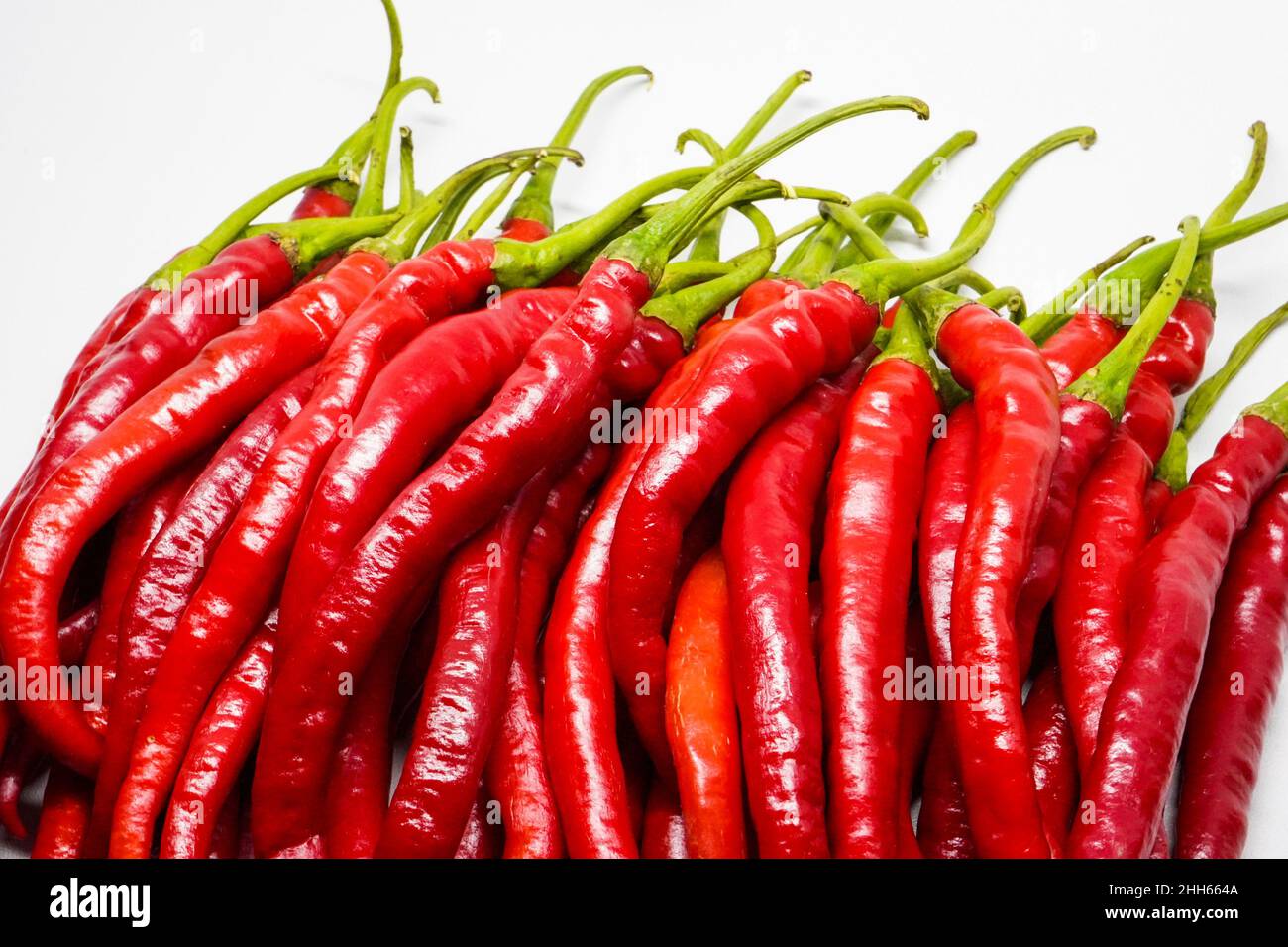 Red Chili Curly is one of the most widely grown and sold red chili ...
