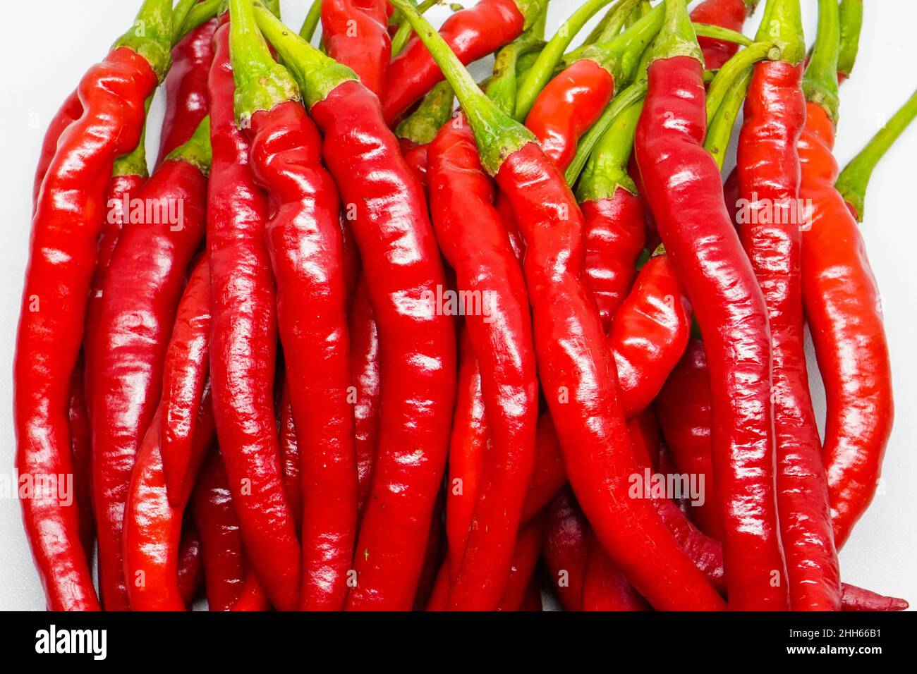 Red Chili Curly is one of the most widely grown and sold red chili ...