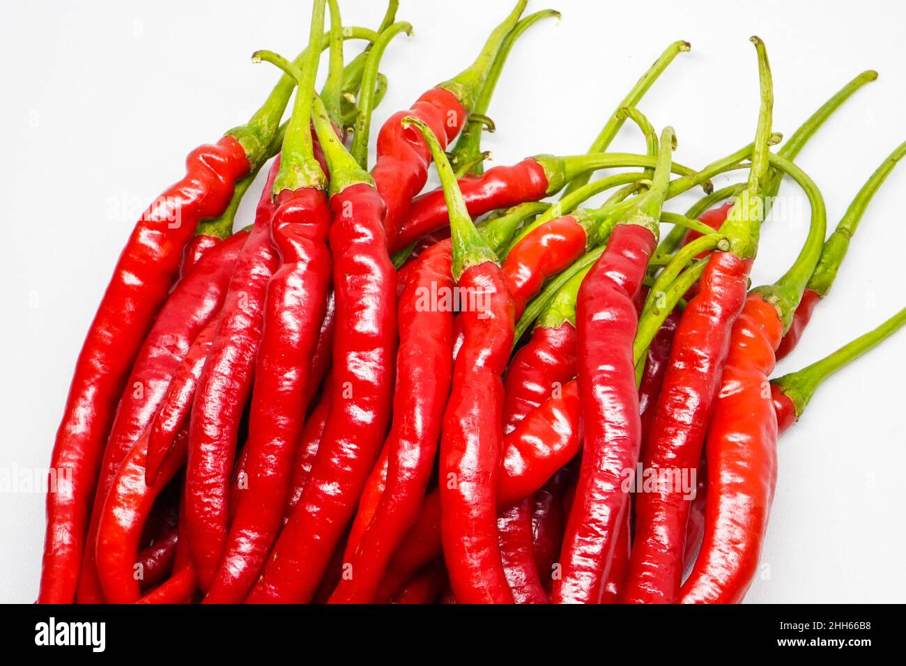 Red Chili Curly is one of the most widely grown and sold red chili ...