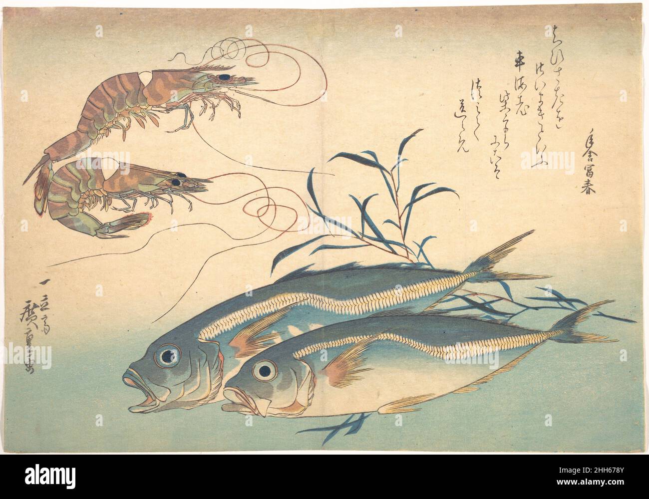 Aji Fish and Kuruma-ebi, from the series Uozukushi (Every Variety of ...