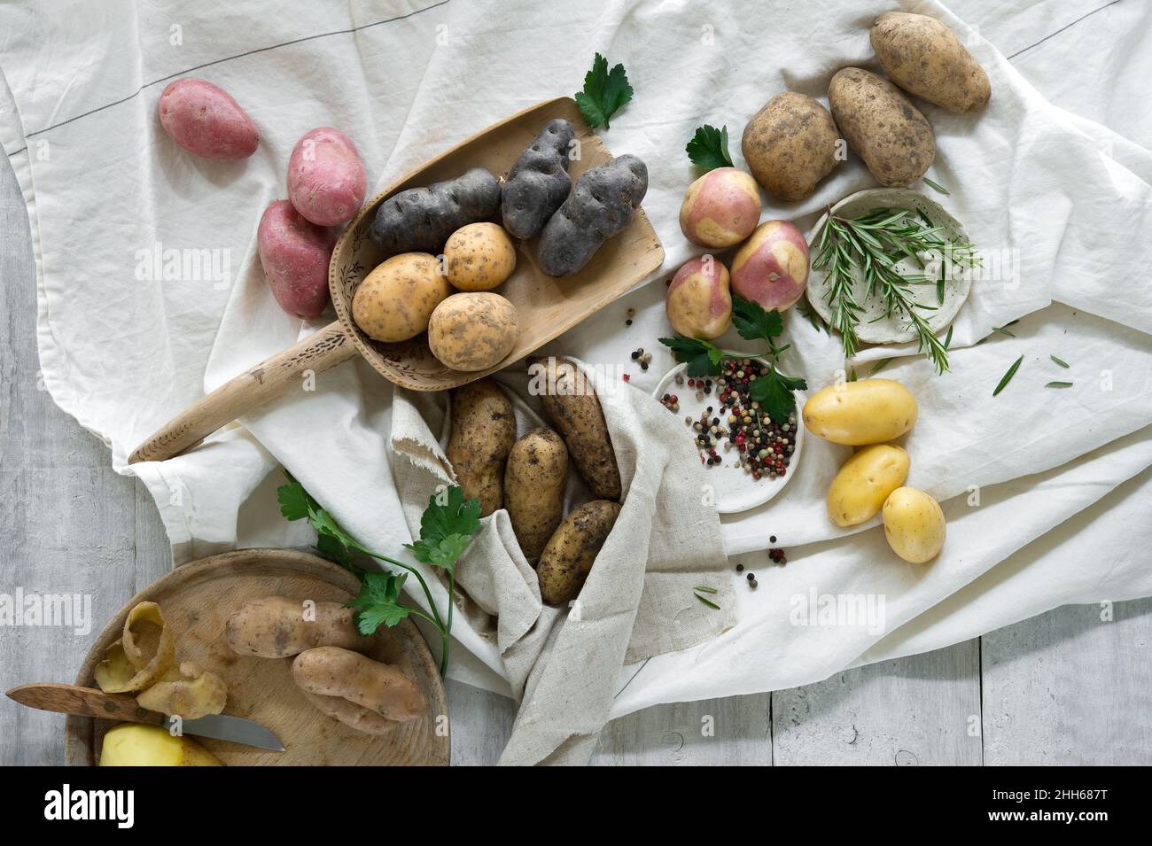 Miss lilly hi-res stock photography and images - Alamy