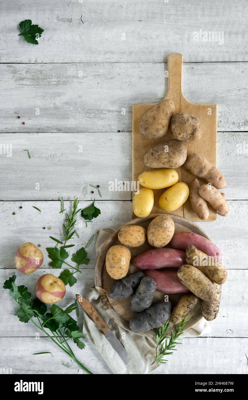 Lilly Potato High Resolution Stock Photography and Images - Alamy