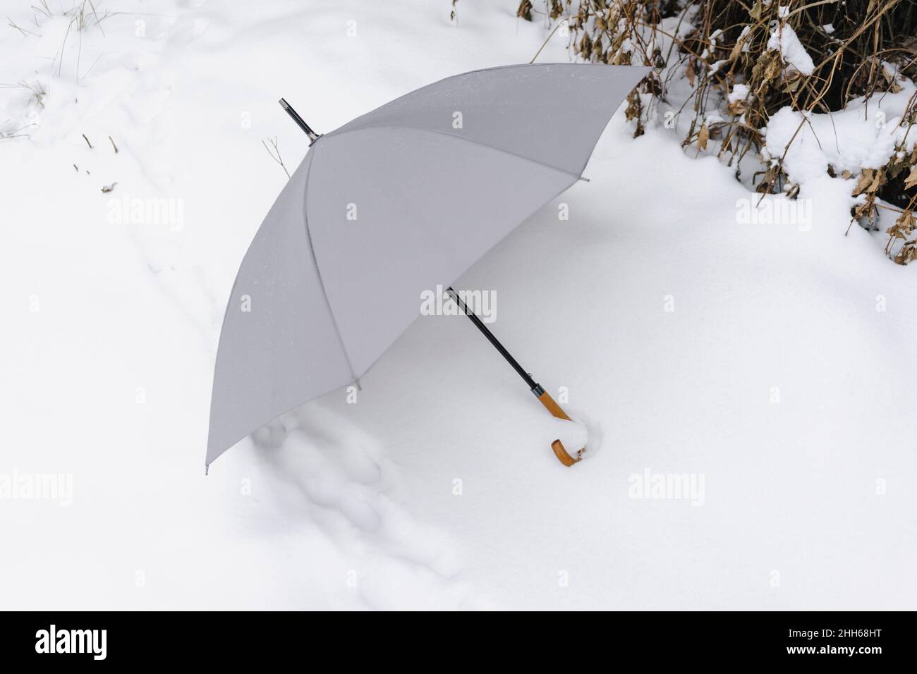 Open umbrella fallen on white snow Stock Photo - Alamy