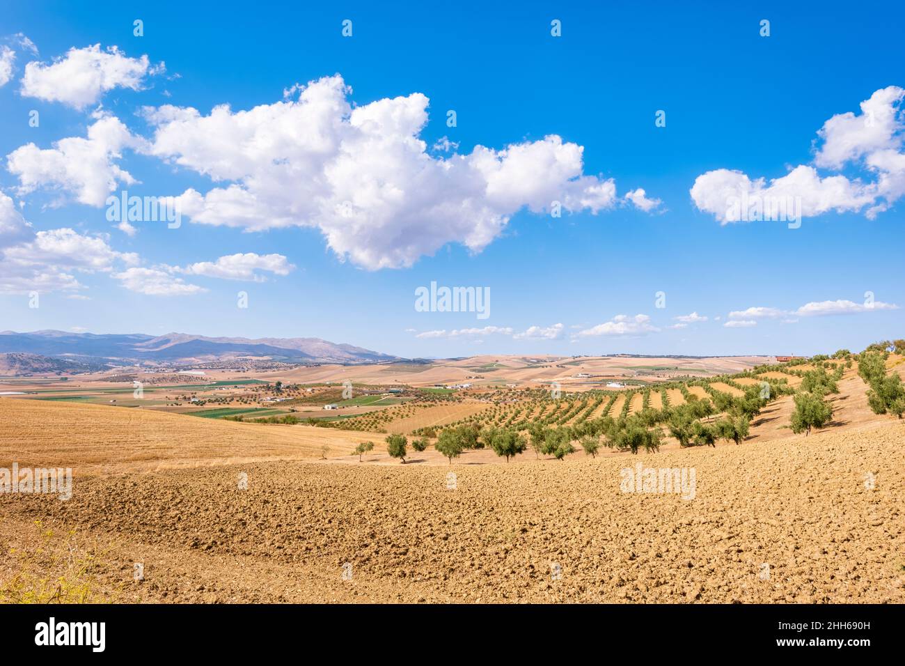 Farmland town hi-res stock photography and images - Alamy