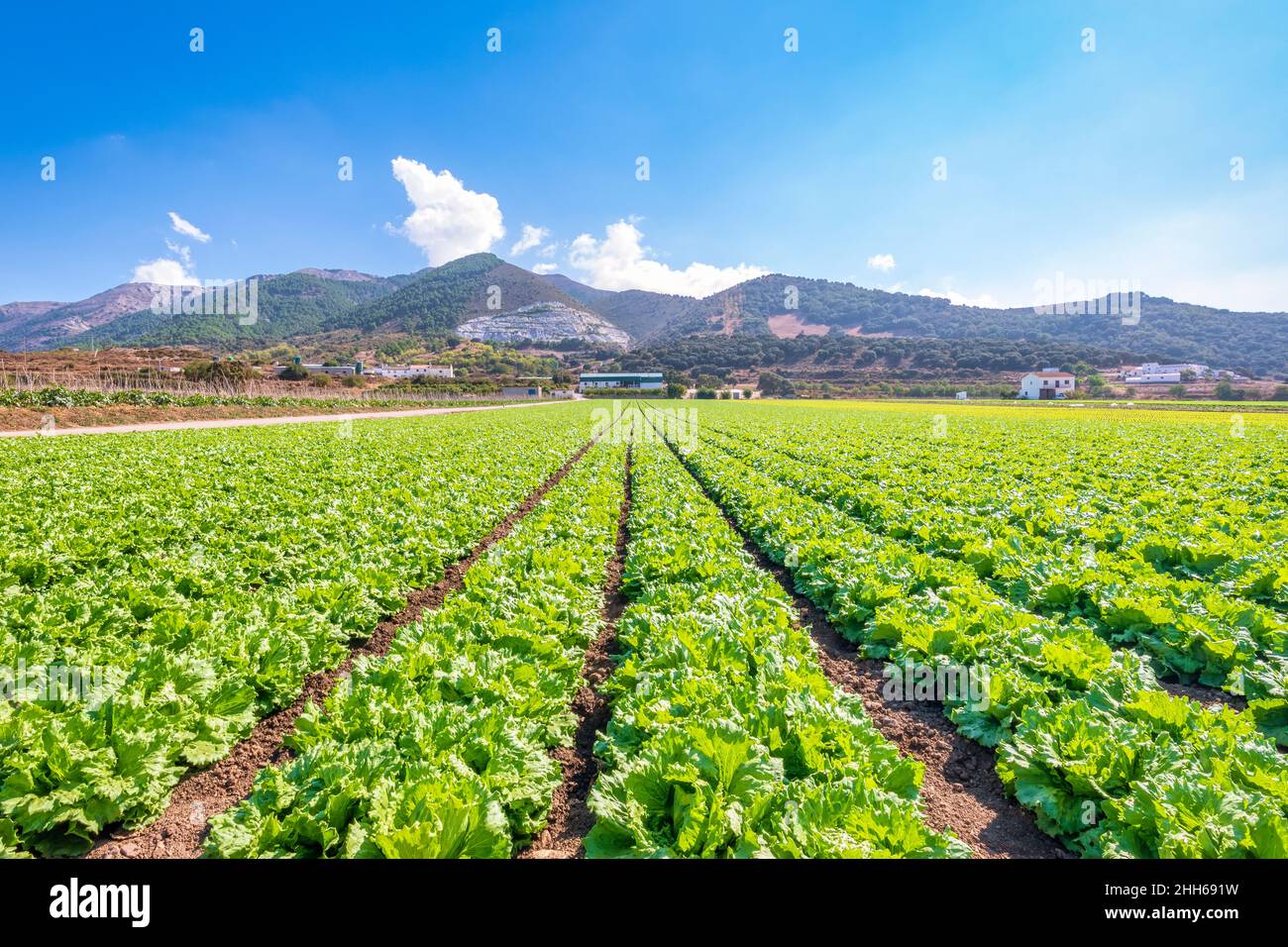 Farm zafarraya andalucia spain hi-res stock photography and images - Alamy