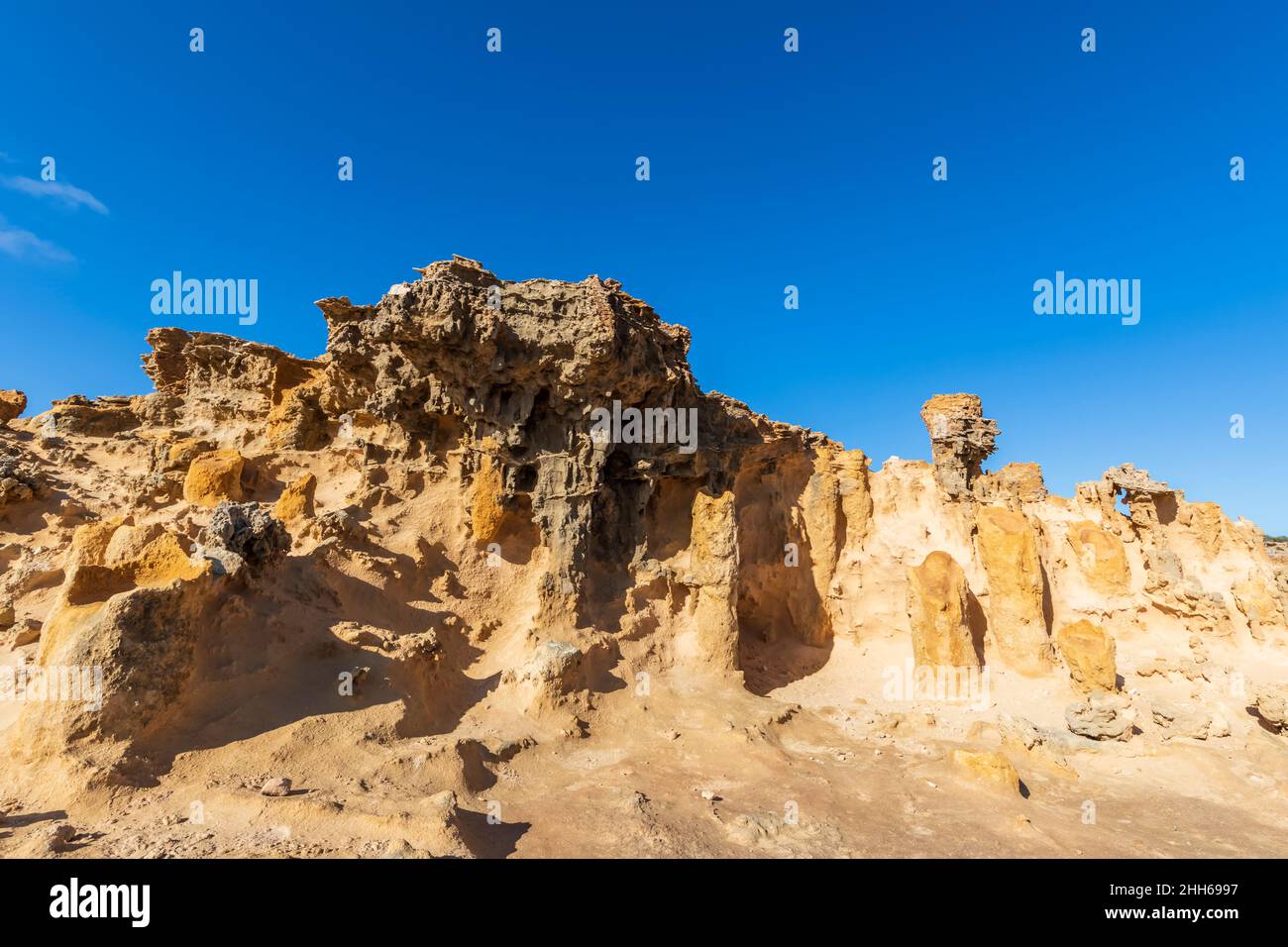 Australia, Victoria, Cape Bridgewater, Petrified Forest limestone rock ...