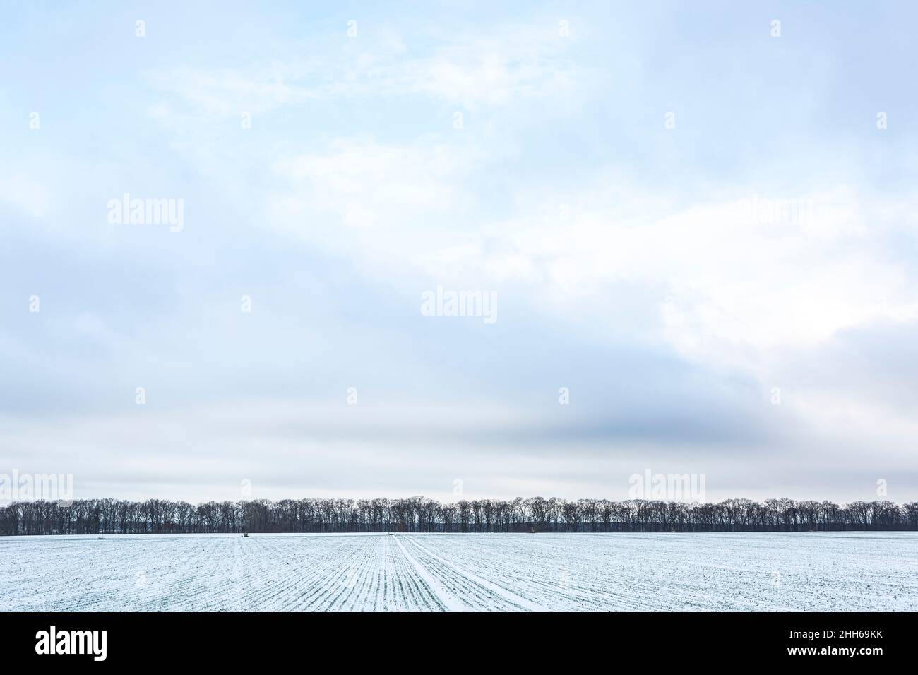 Snow covered field agriculture hi-res stock photography and images - Alamy