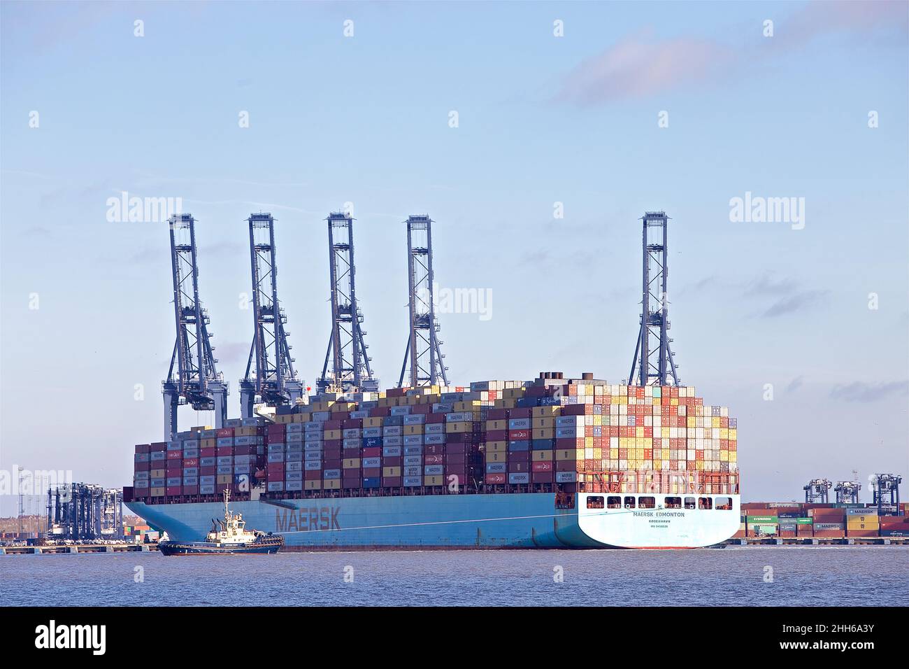 Container ship Maersk Edmonton docking at the Port of Felixstowe ...