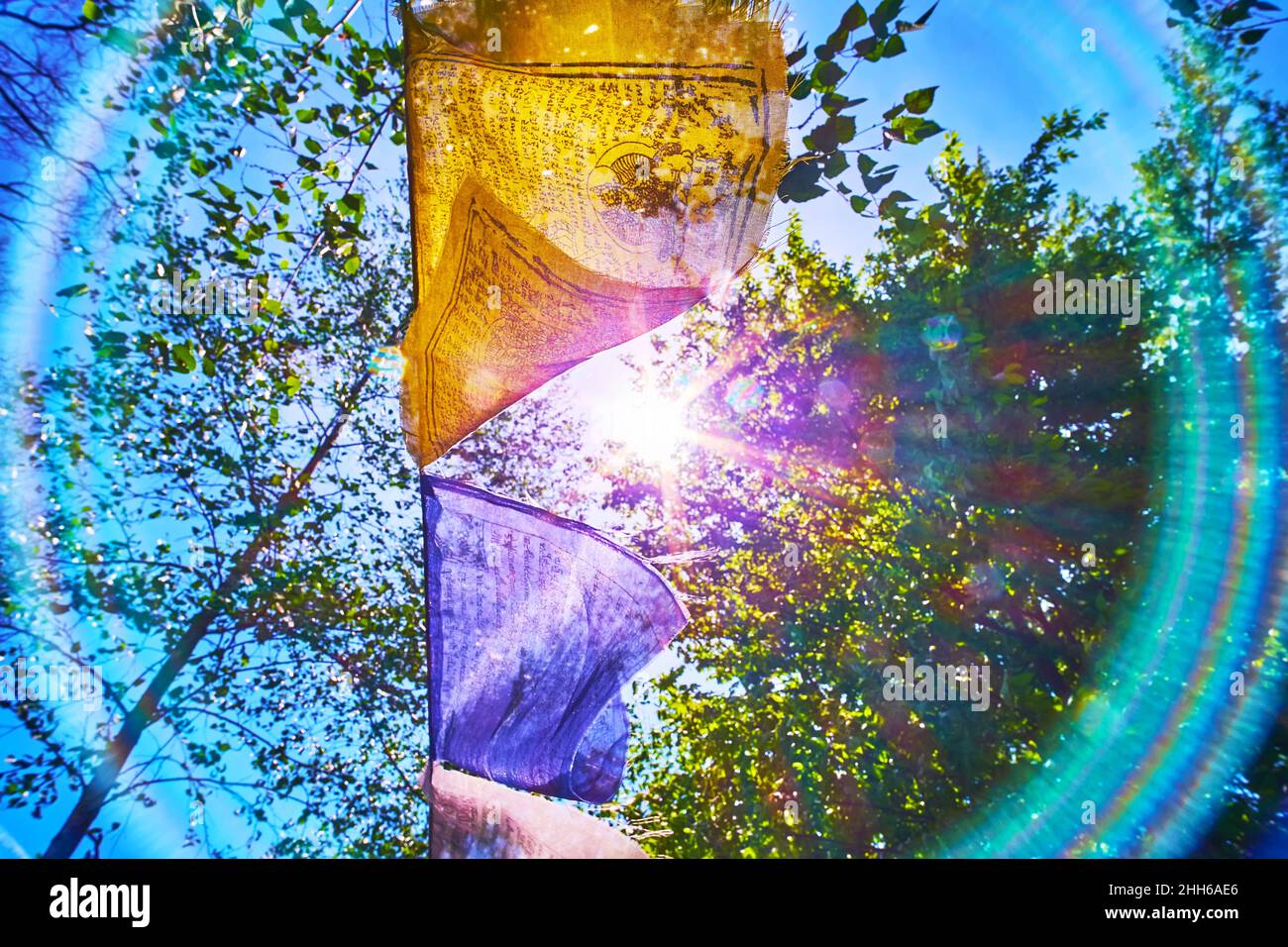 Flag ukraine in rays hi-res stock photography and images - Alamy