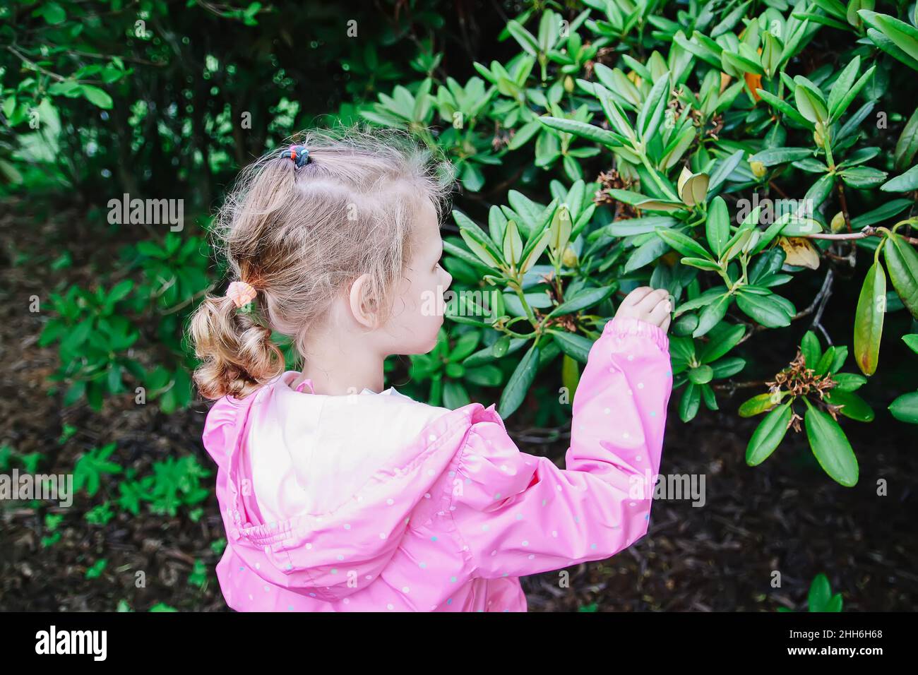Adorable girl walking in spring park and exploring plants Stock Photo ...