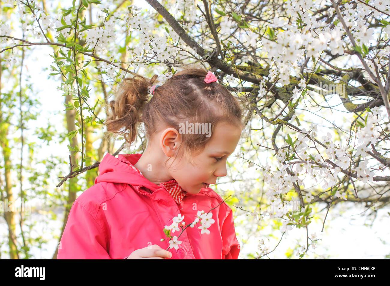 Adorable little girl walking in spring park with beautyful blooming ...