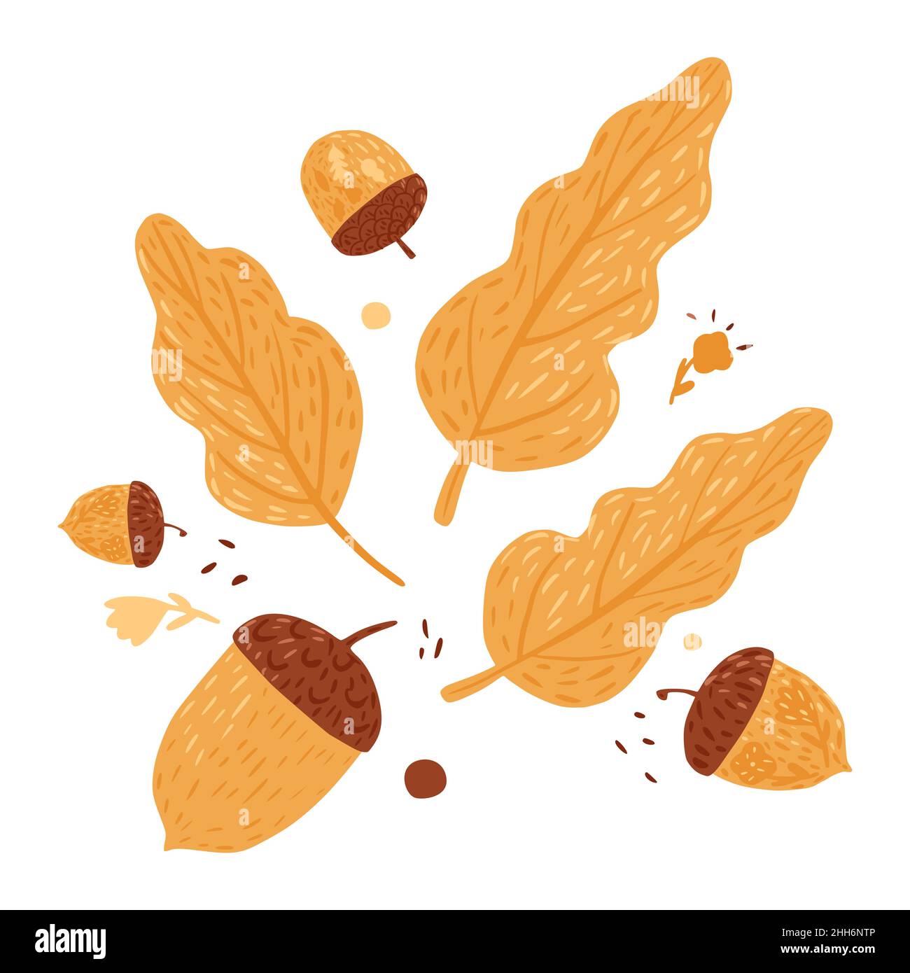 Composition acorns and leaves on white background. Autumn season acorn ...