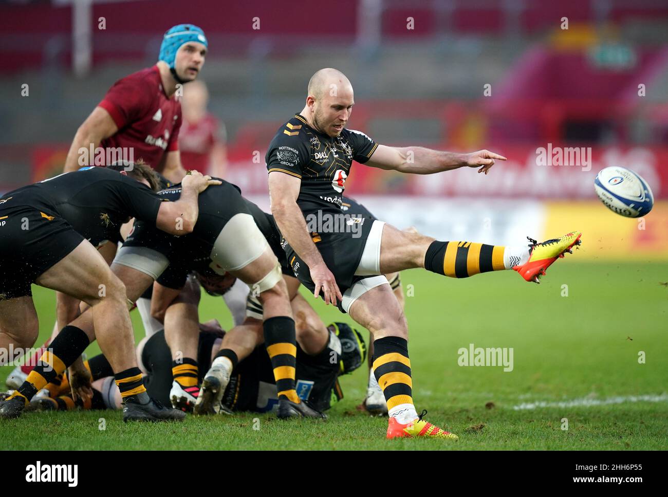 Dan robson wasps 2022 hi-res stock photography and images - Alamy