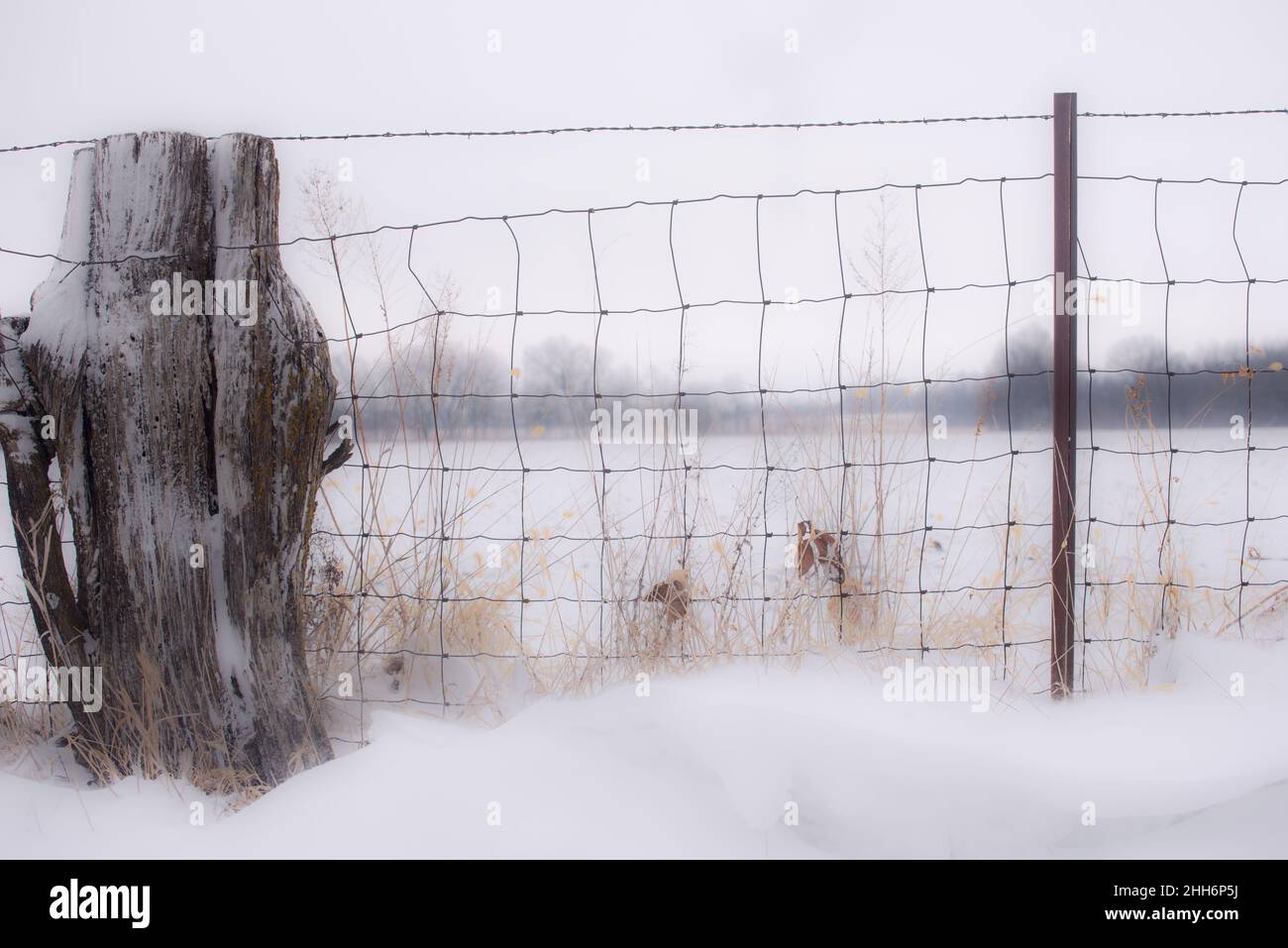Country left post and fence Stock Photo - Alamy
