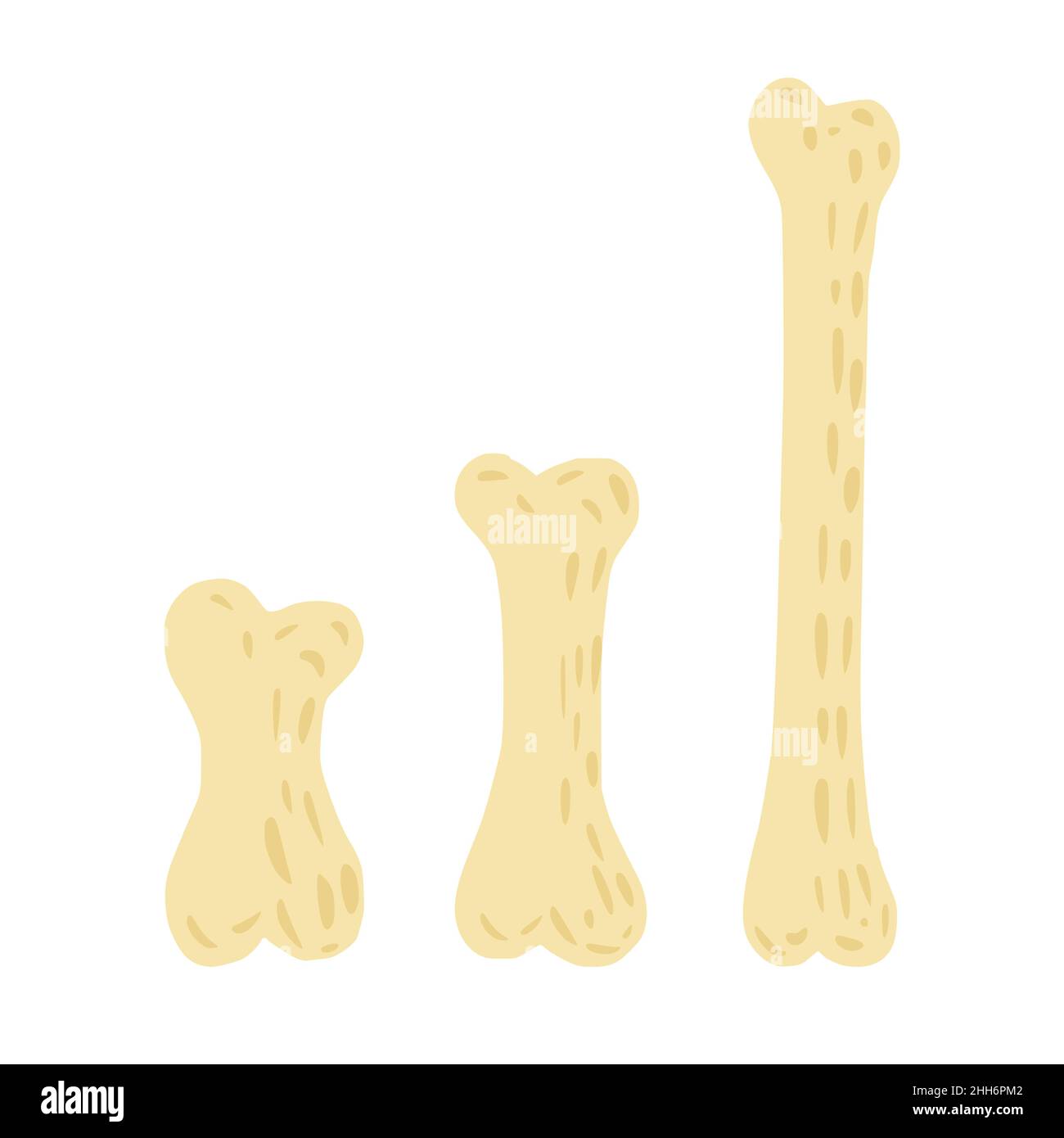 Set from bones on white background. Simple kit bone color yellow ...