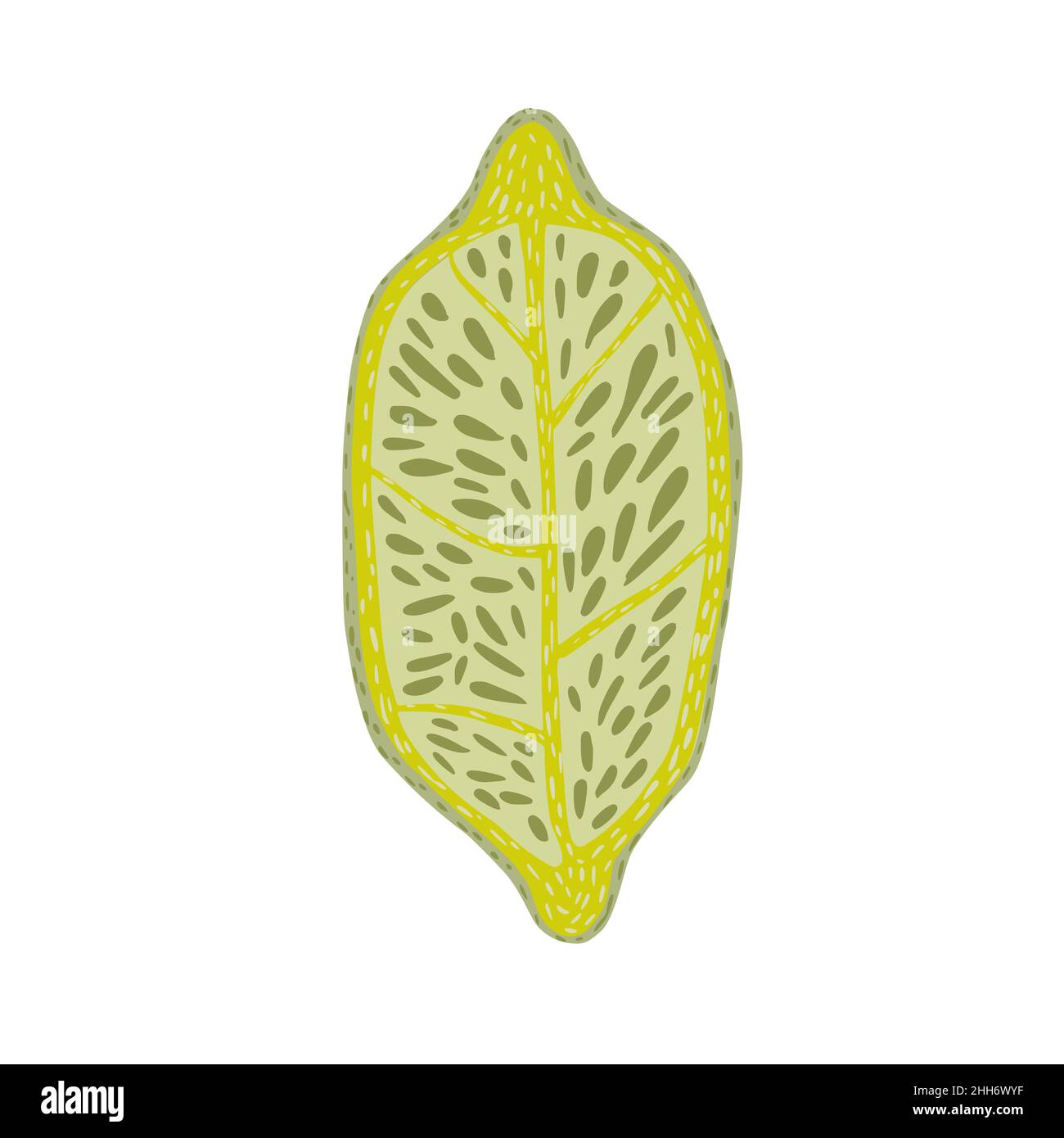 Half lemon isolated on white background. Abstract botanical yellow ...