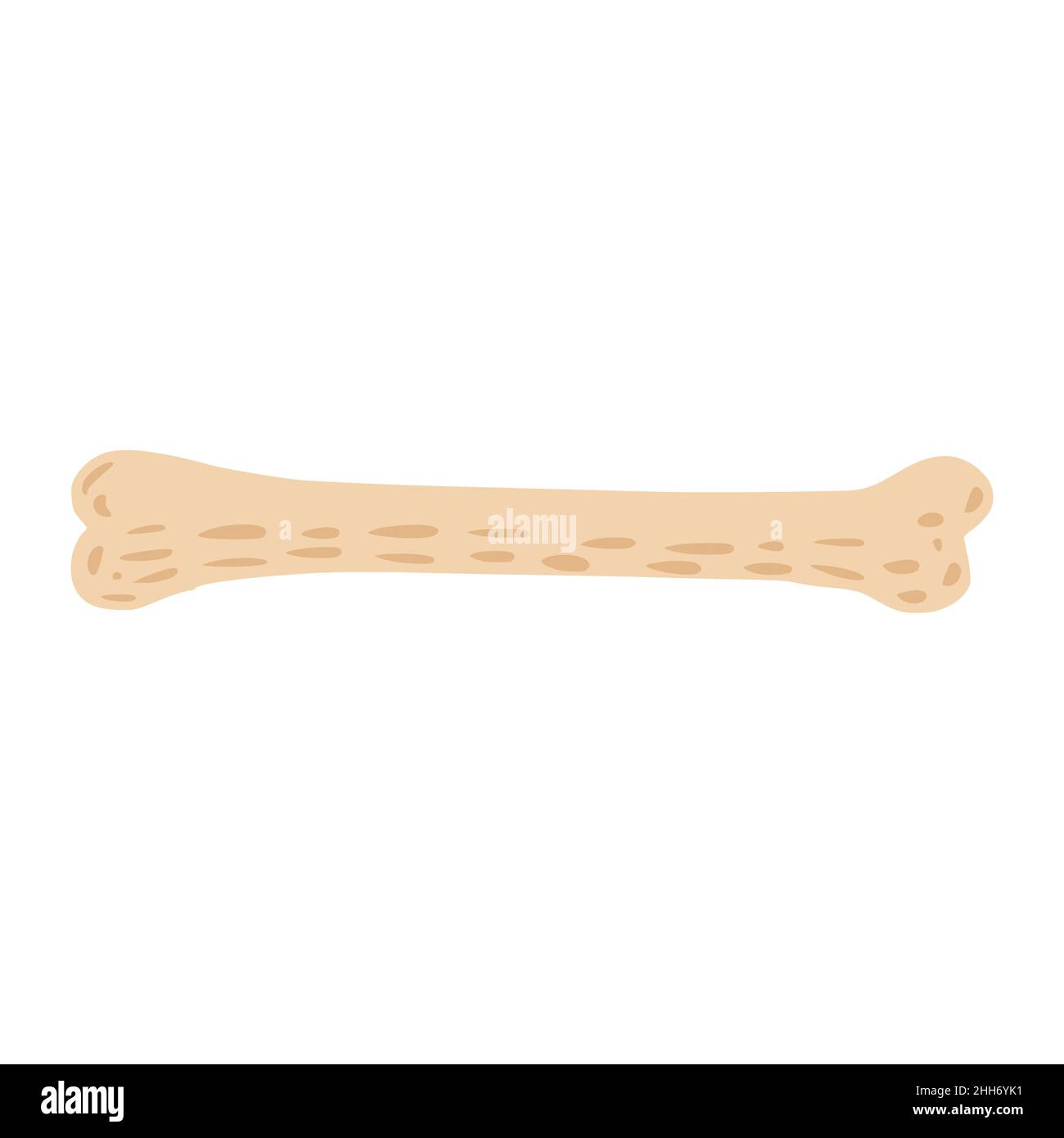 Beige bone isolated on white background. Simple bone size long sketch ...