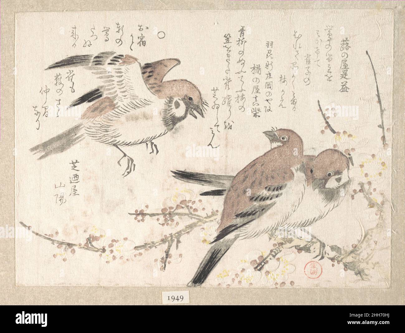 Sparrows and Plum Blossoms 19th century Kubo Shunman Japanese. Sparrows ...