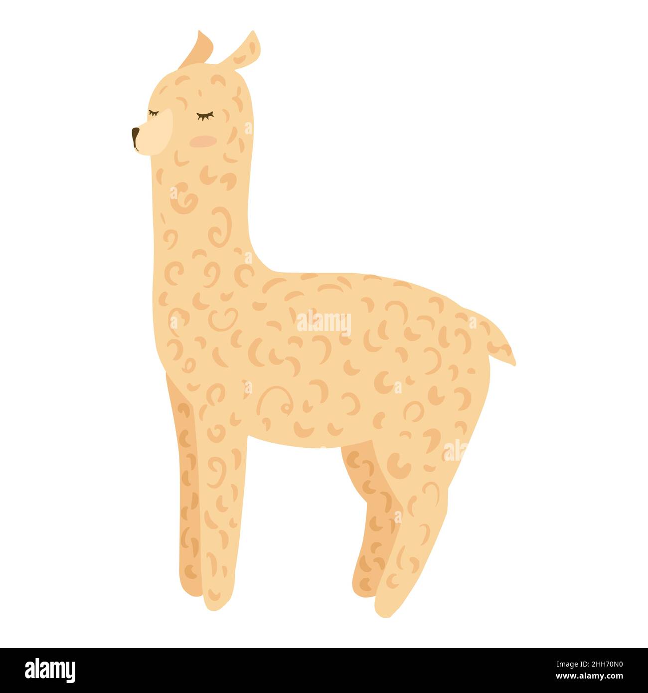 Cute alpaca isolated on white background. Soft lama yellow color for ...