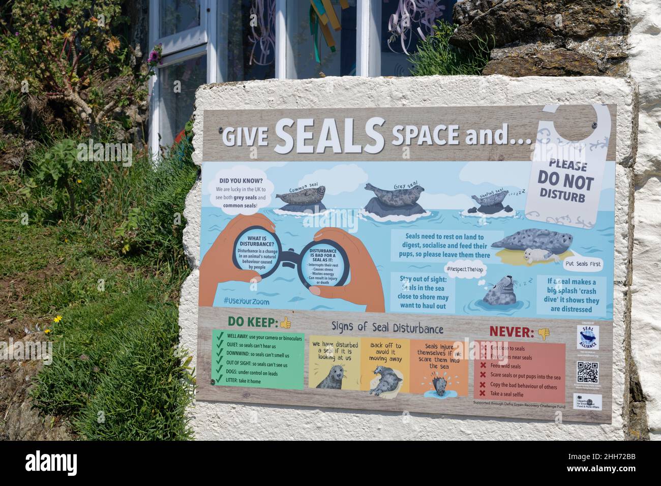 Seal Alliance notice advising people not to disturb seals, Lizard point ...