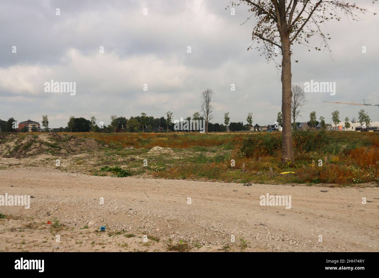 Sand and quicksand at fields where new residential district will arise ...