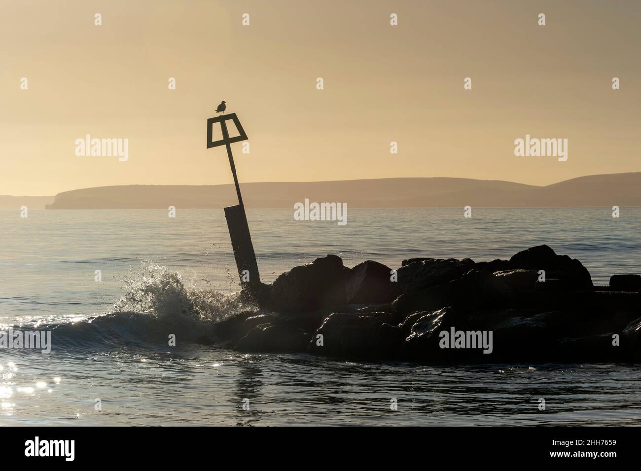 Boscombe bay in Dorset at dawn. Rock breakwater with a gull sitting on ...